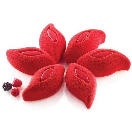 Comprar molde compuesto por 6 cavidades Ruben 140 Curveflex Silikomart