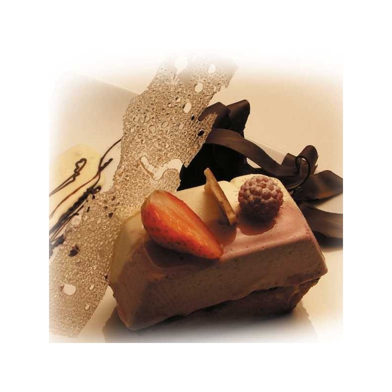 Comprar molde profesional 60x40 cm mini Cakes 66769 de Lacor